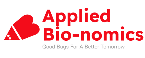 Anystis baccarum (Crazee Mite) - Applied Bio-nomics | Biological Pest ...